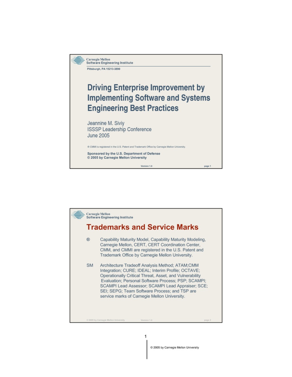 Driving Enterprise Improvement by Implementing Software Engineering ...