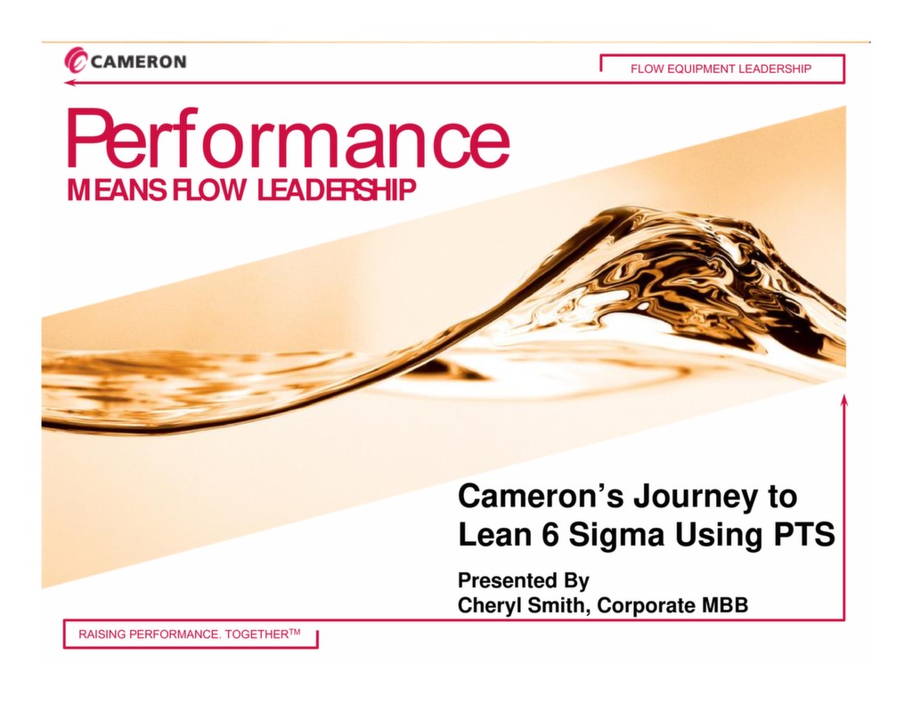 Cameron's Journey to Lean 6 Sigma Using PTS (Project Tracking System ...